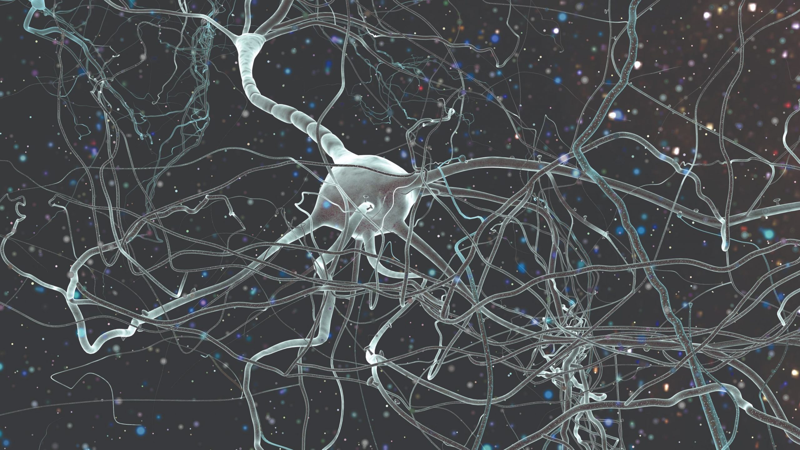 AMPLIFYING INTELLIGENCE - Digital Studio India