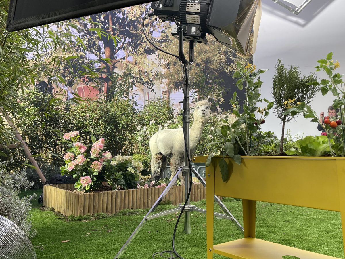 What’s on the catwalk? Brompton Technology powers virtual production fashion shoot at MGX Studio ...