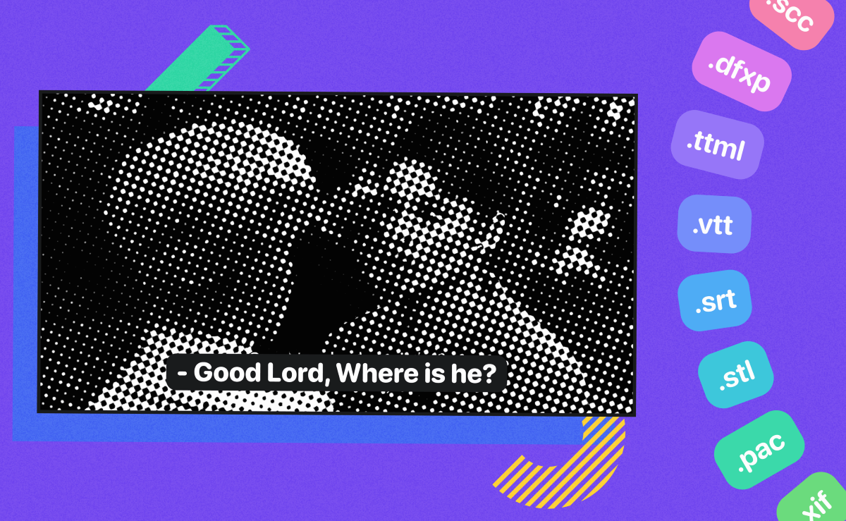 The Beginner’s Guide for Subtitle Format Users - Digital Studio India