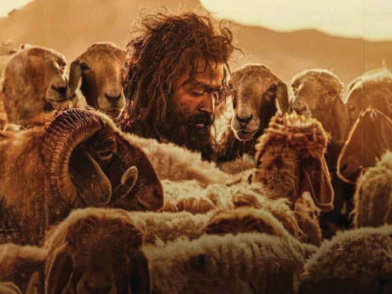 5 Compelling Reasons to Tune Into Prithviraj Sukumaran’s 'The Goat Life ...