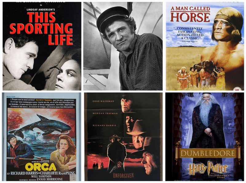 In Memoriam: 5 Essential Richard Harris Movies That Need To Be ...