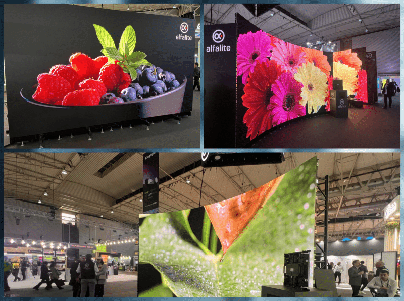 As The 2026 BMC Election Results Approach, Here's Recalling Some ...